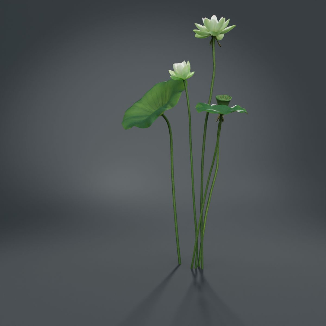 Flower 3D - TurboSquid 1610927