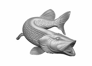 3D Pike Fish Models - Browse & Download Formats - TurboSquid