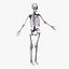 anatomically female body skeleton arm 3d model