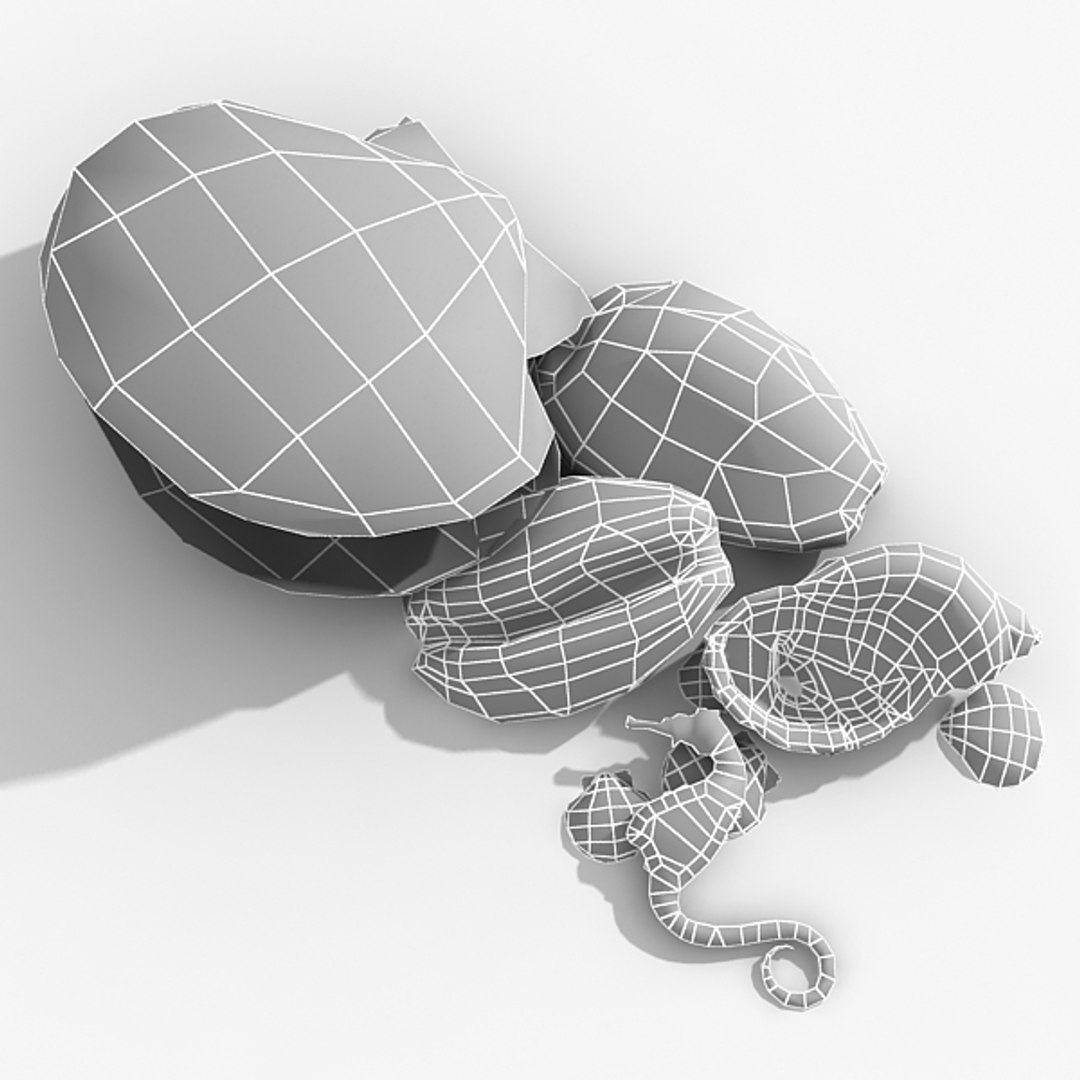 Seashell Shell Sea 3d Model