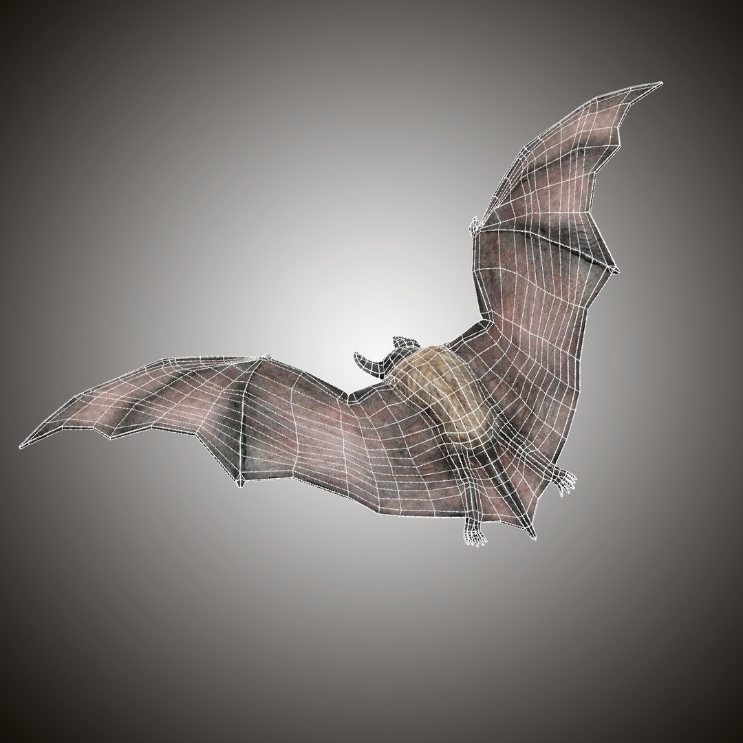 3d Model Vampire Dark Bat
