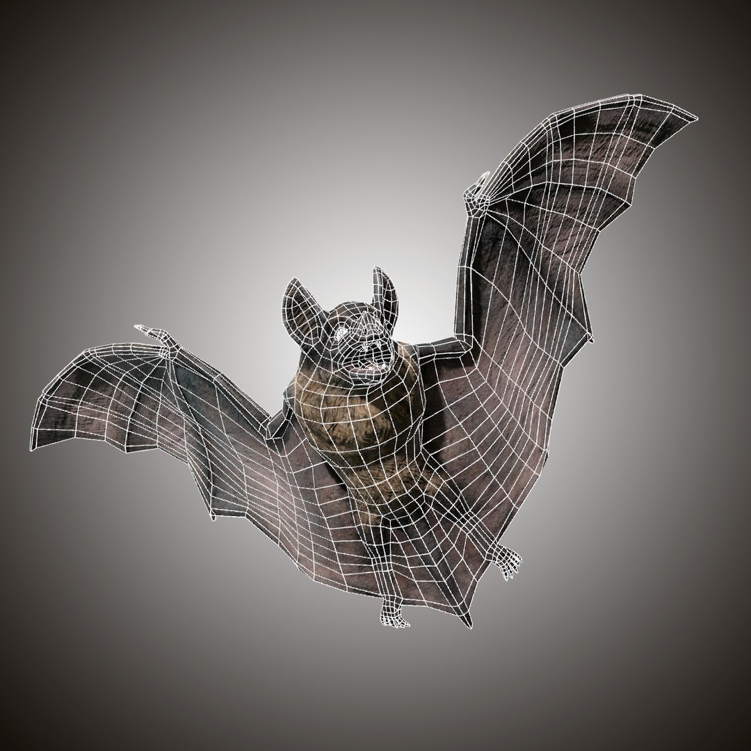 3d model vampire dark bat
