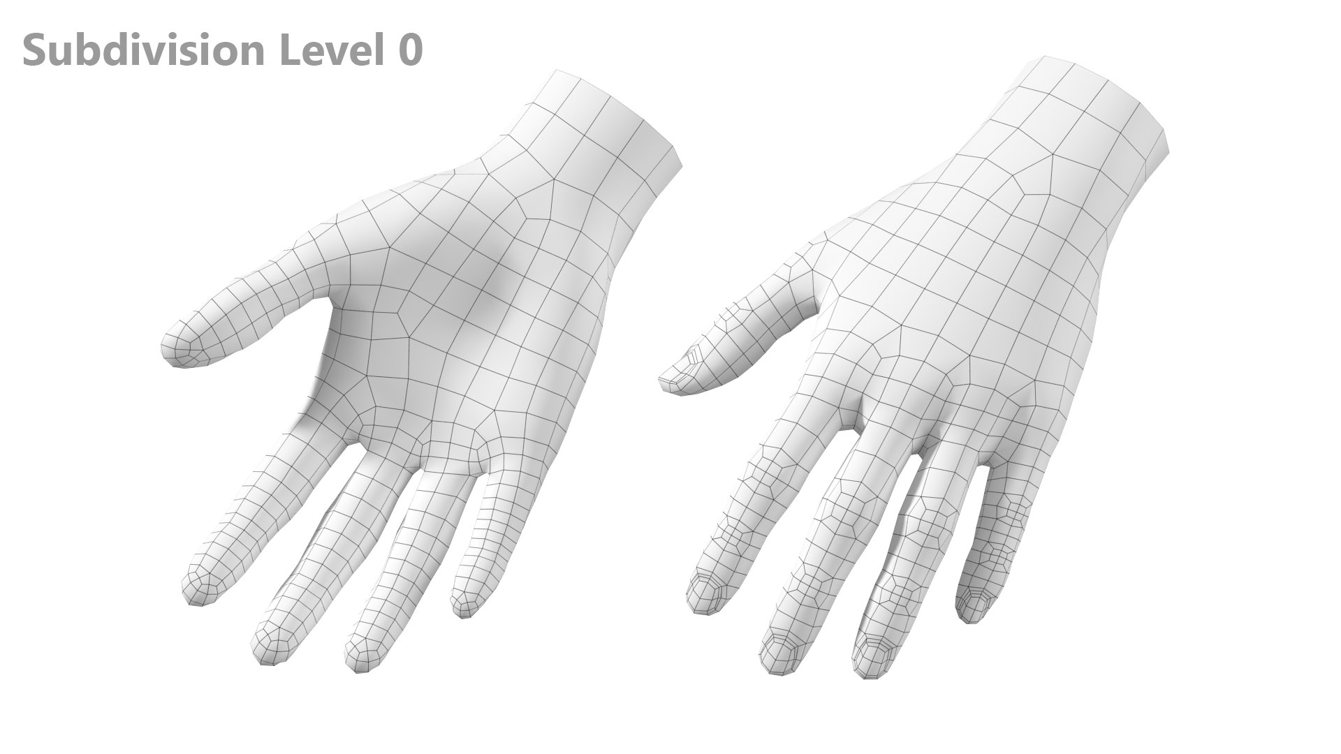 3D Female Hand Base Mesh 09 - TurboSquid 2184384