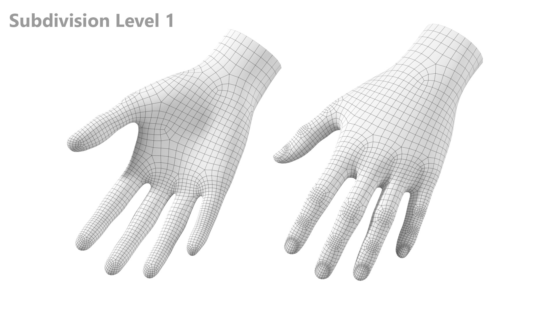 3D Female Hand Base Mesh 09 - TurboSquid 2184384