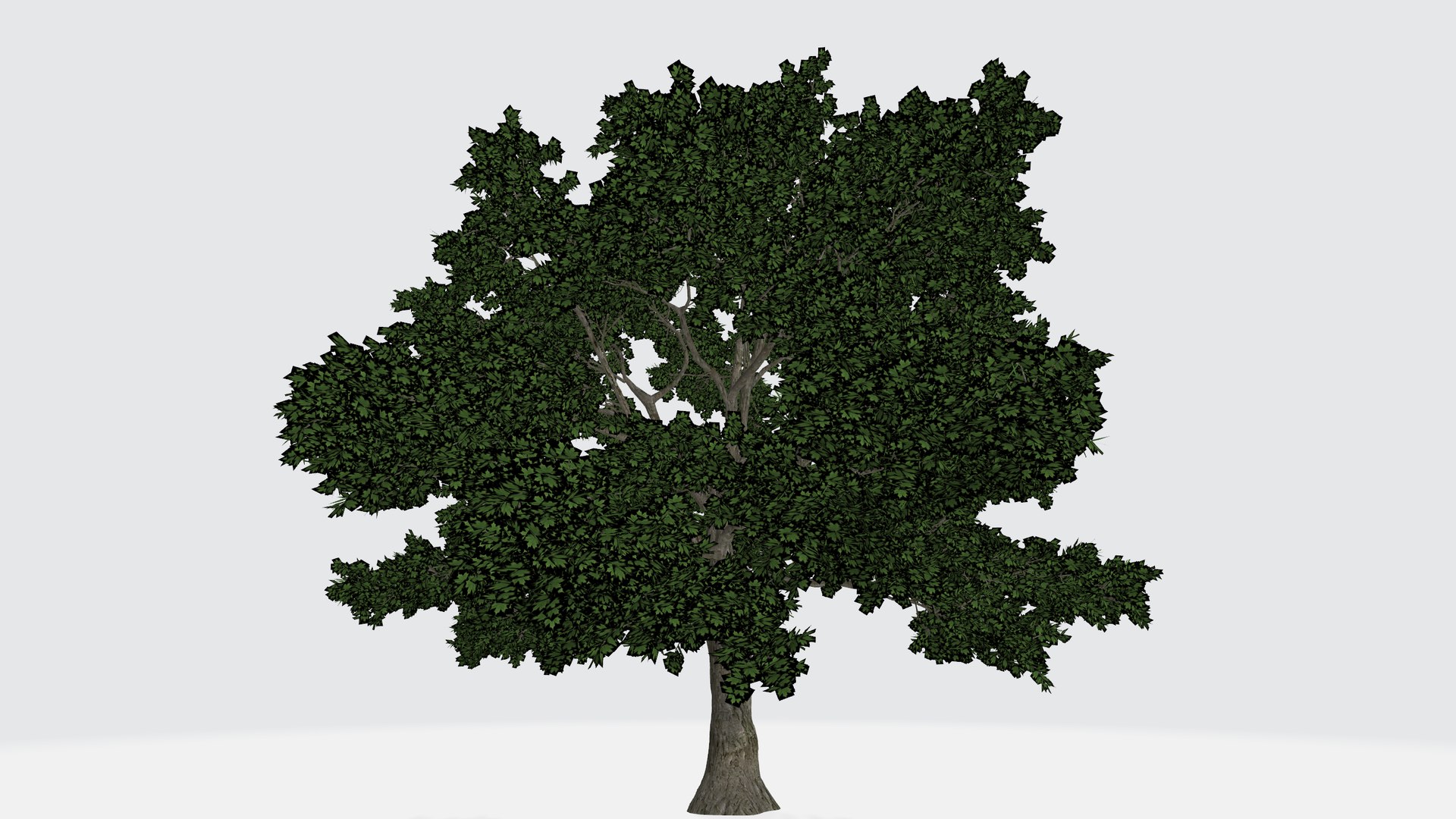Large Perennial Plant 3D Model - TurboSquid 1956138