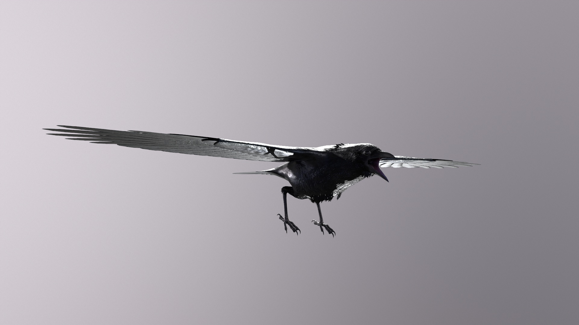 Crow Animated 3D Model - TurboSquid 1927643