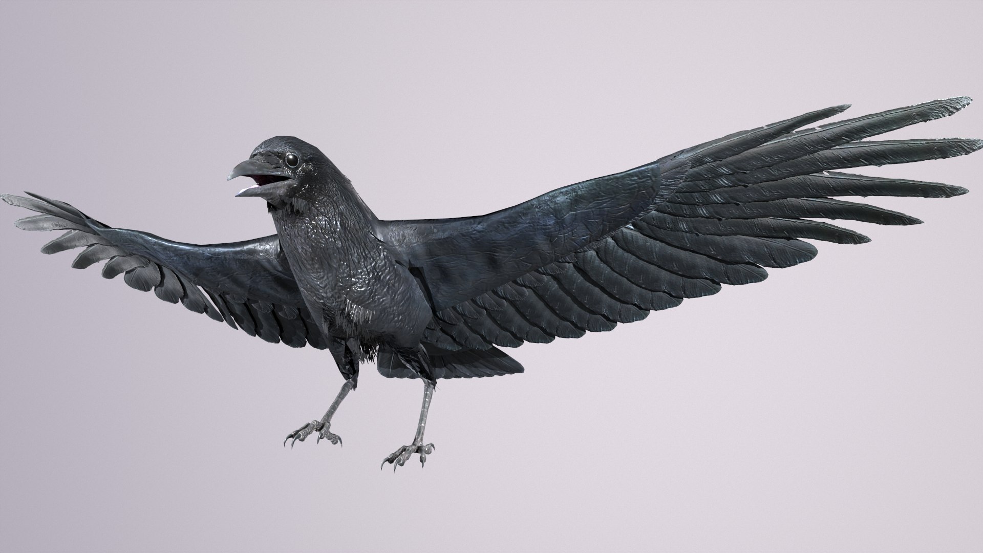 Crow Animated 3D Model - TurboSquid 1927643