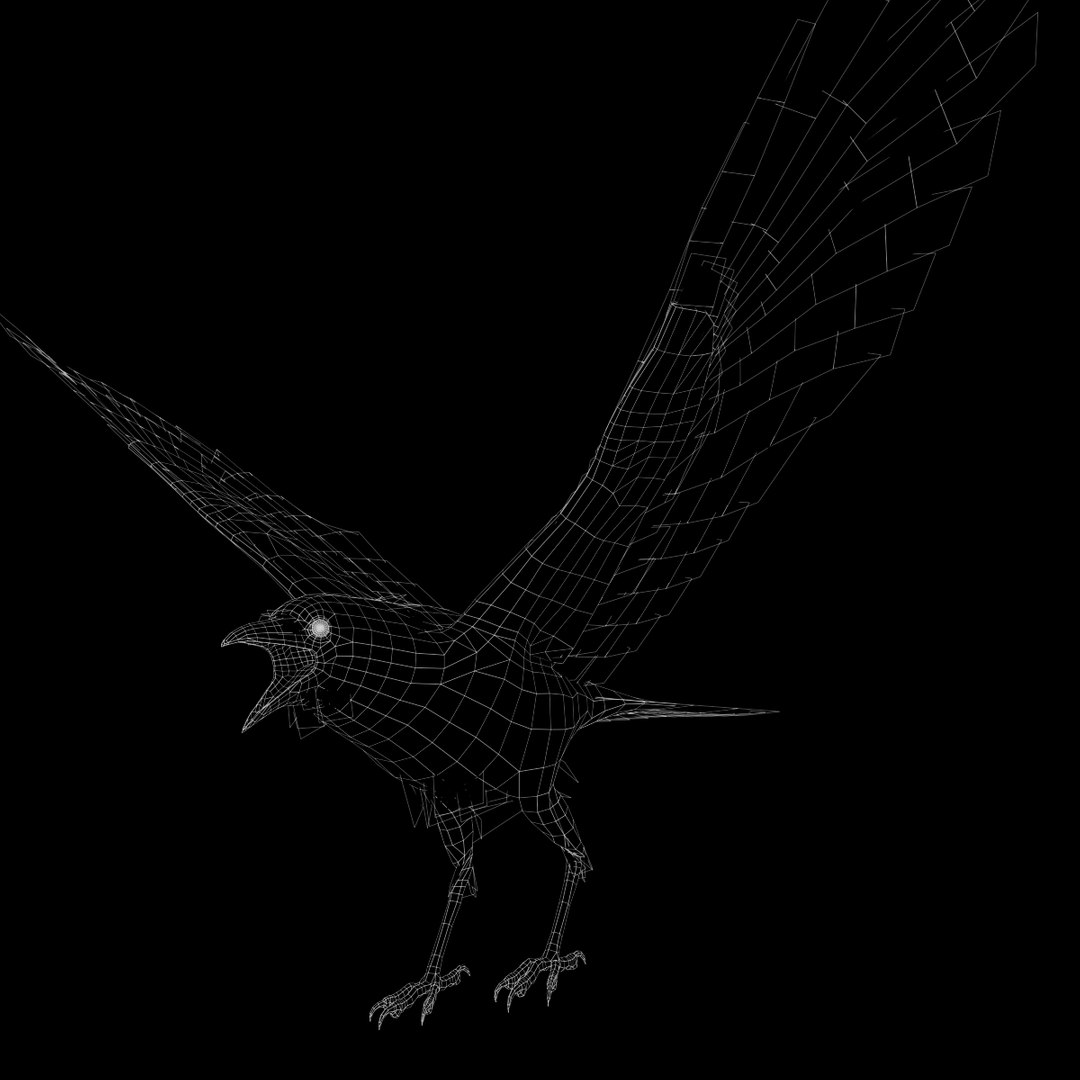 Crow Animated 3D Model - TurboSquid 1927643