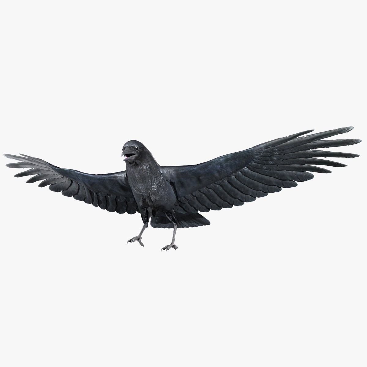 modelo 3d Crow Animated - TurboSquid 1927643