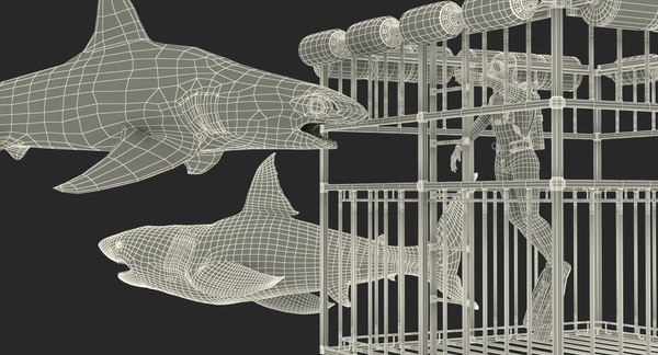 Shark cage diving rigged 3D - TurboSquid 1384187