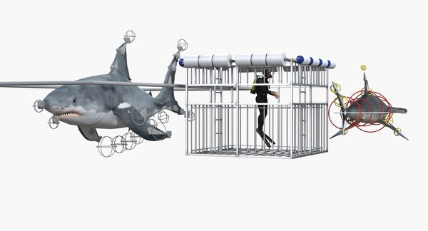 Shark cage diving rigged 3D - TurboSquid 1384187