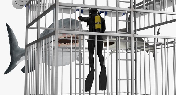 Shark cage diving rigged 3D - TurboSquid 1384187