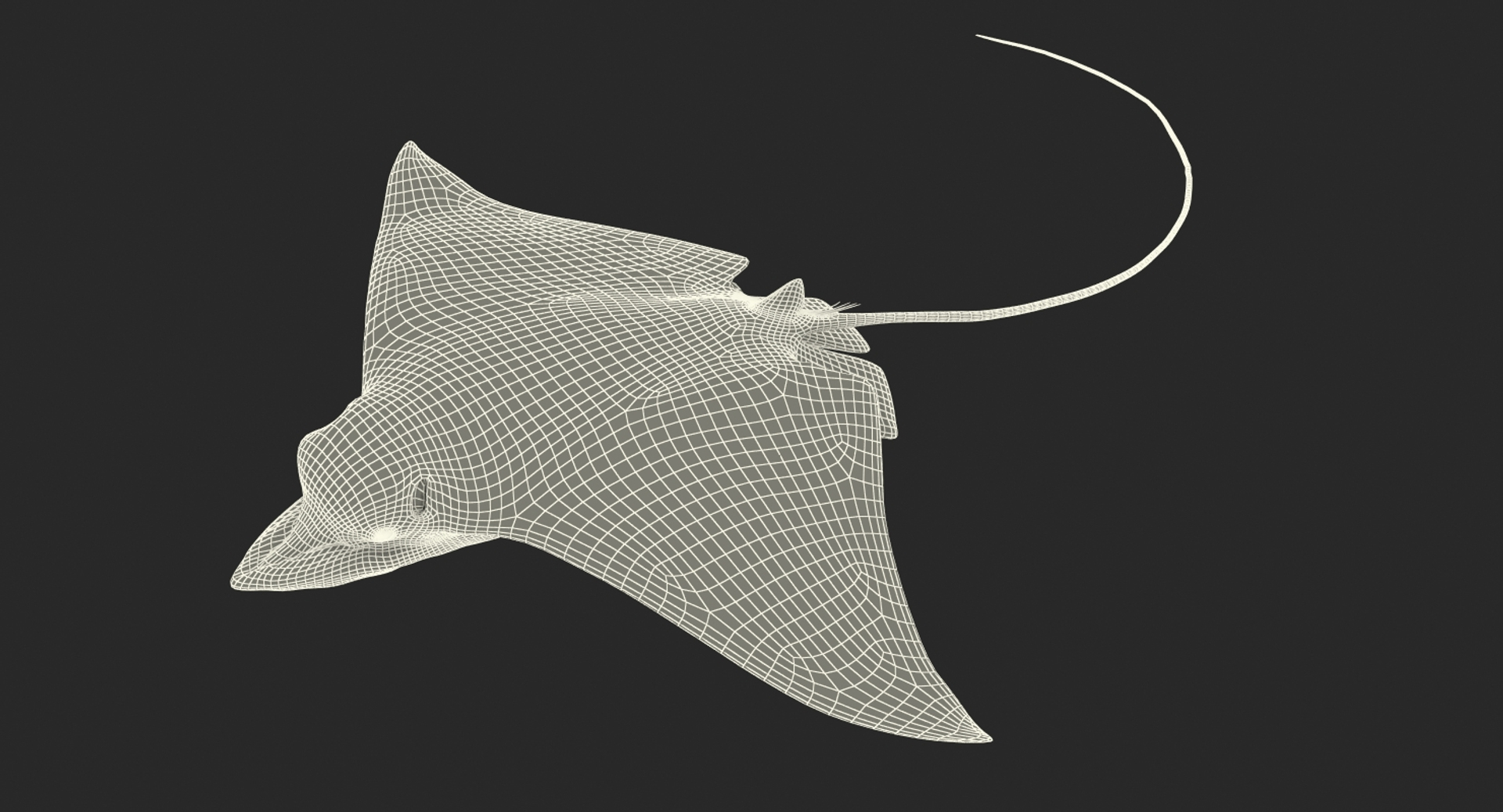 3d Model Eagle Pose 3