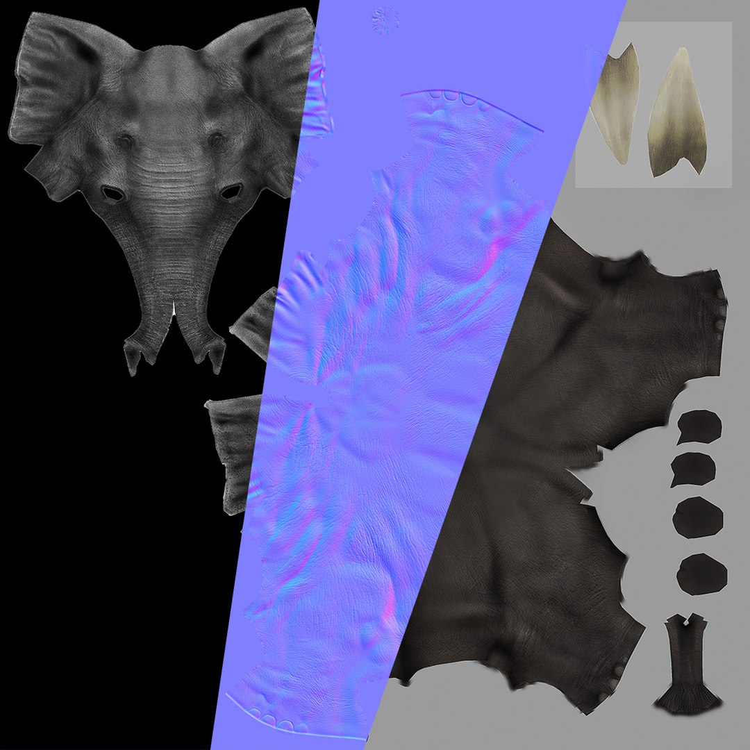 3D African Elephant Model - TurboSquid 1393152