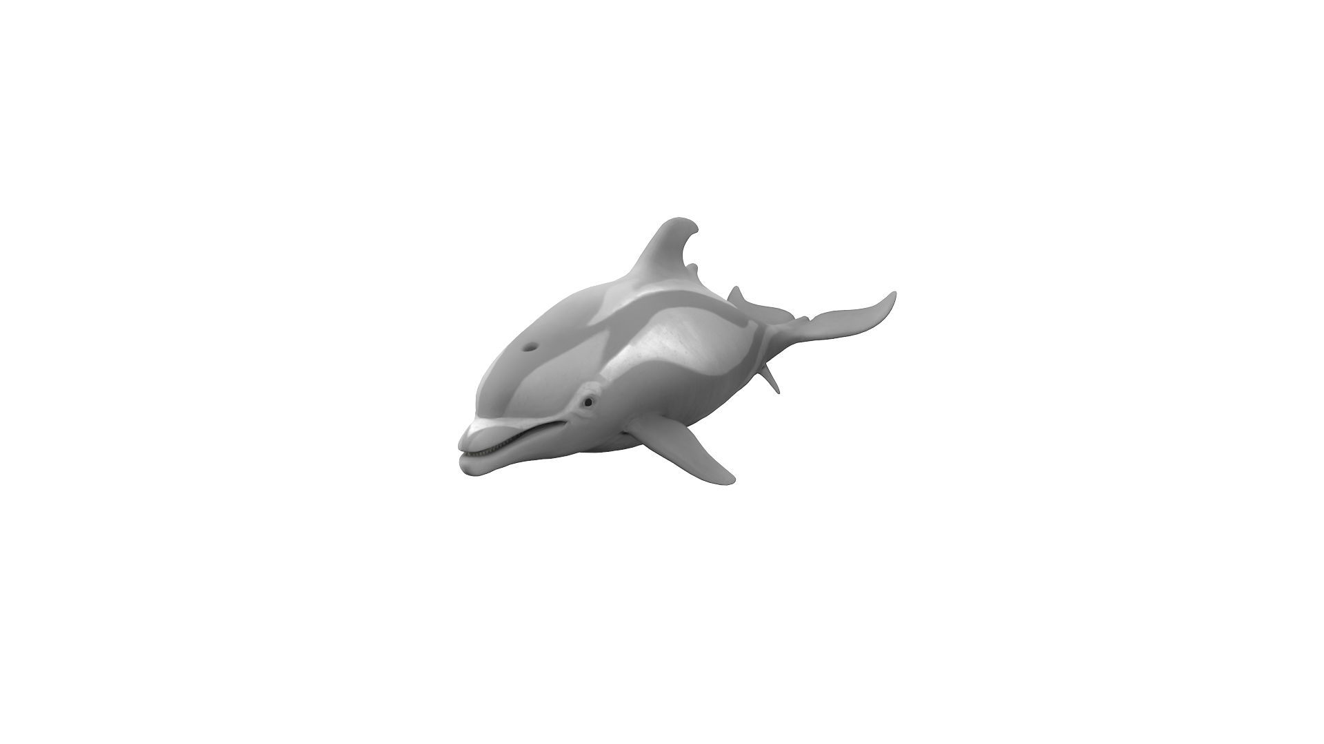Dolphin 3D Model - TurboSquid 1839551