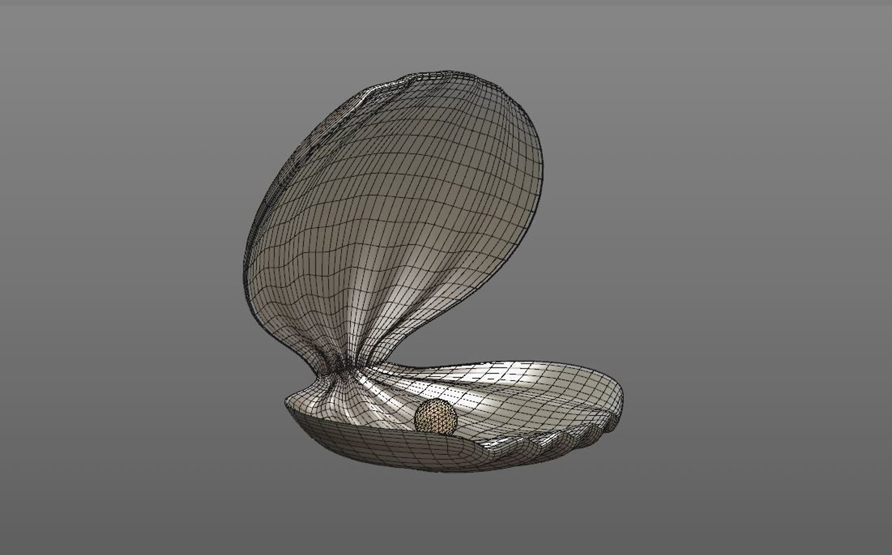 Shell Pearl Model - TurboSquid 1658046