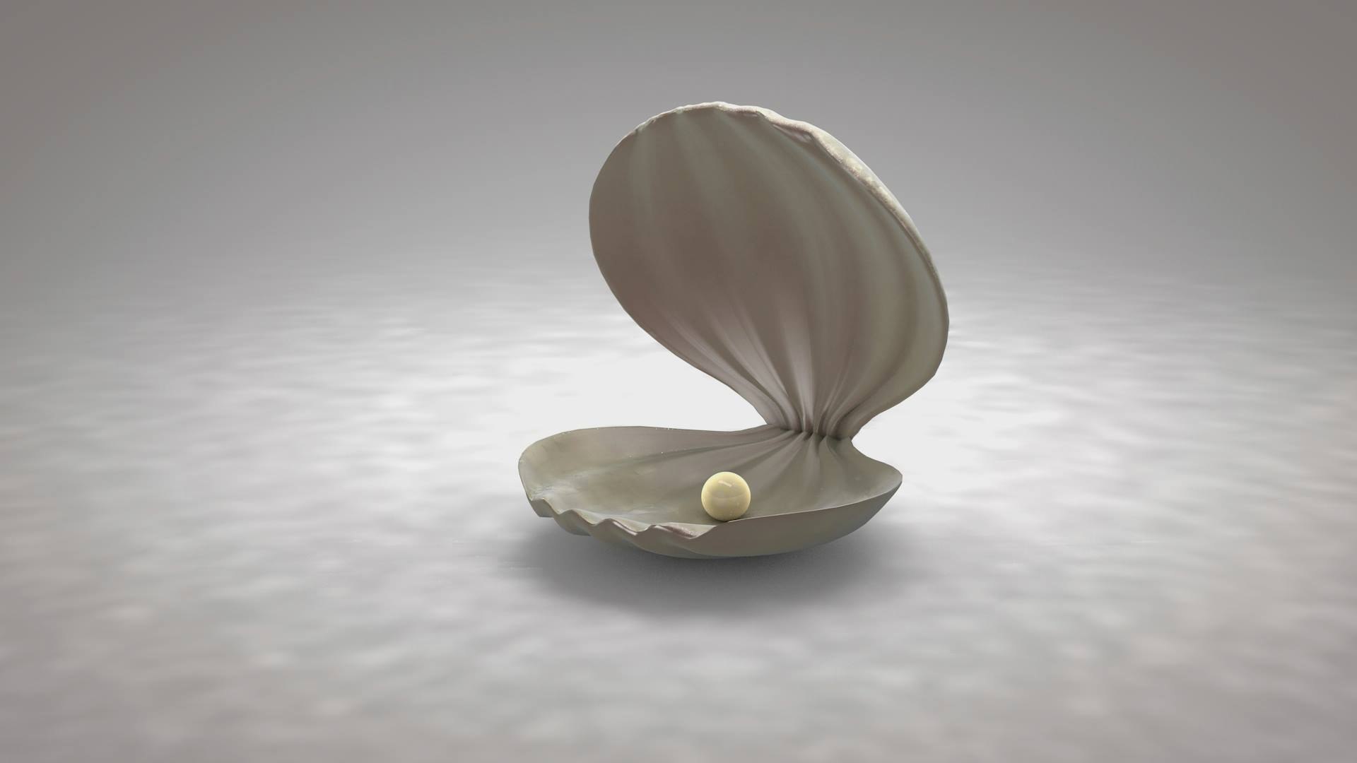 Shell Pearl Model - TurboSquid 1658046