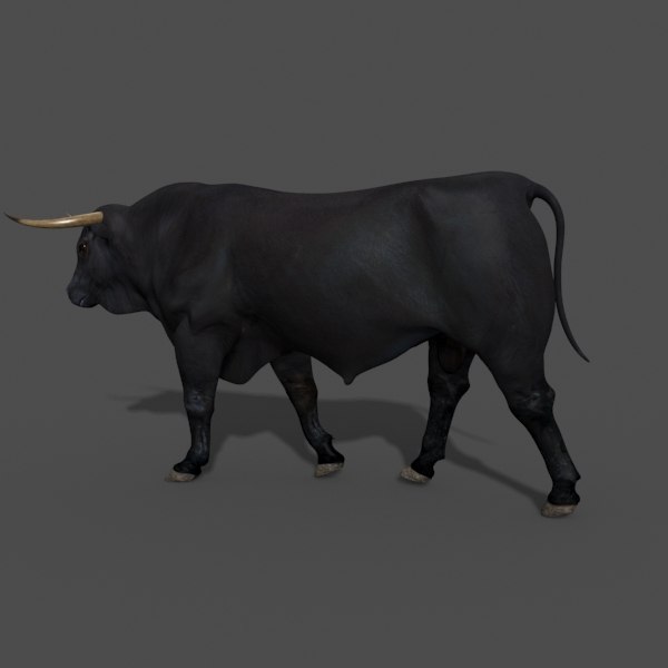 3d spanish bull