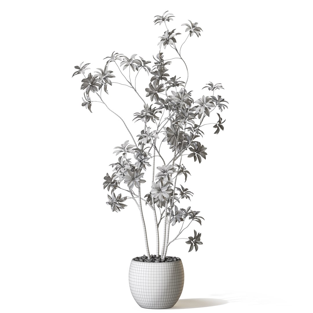 Plant 1321 3D Model - TurboSquid 2500764