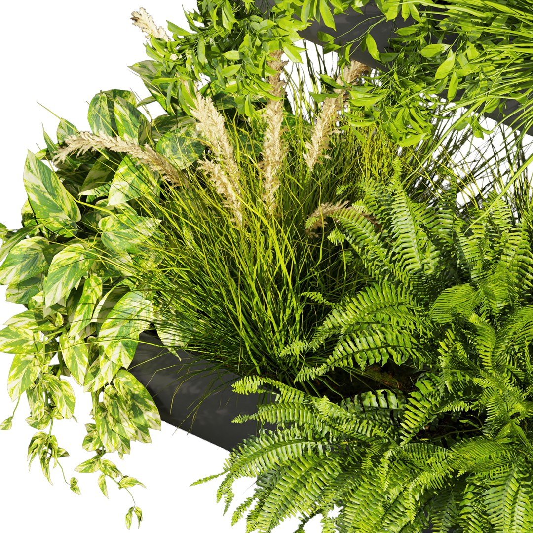 Collection Plant Vol 417 - Indoor - Fern - Banana - Balcony - Blender - 3dmax - Cinema 4d 3D ...