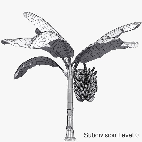 banana plant tree obj
