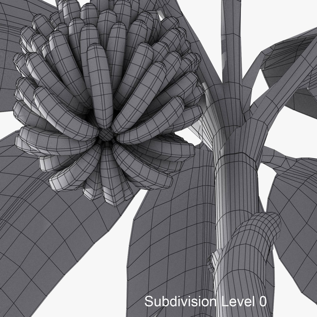 Banana Plant Tree Obj