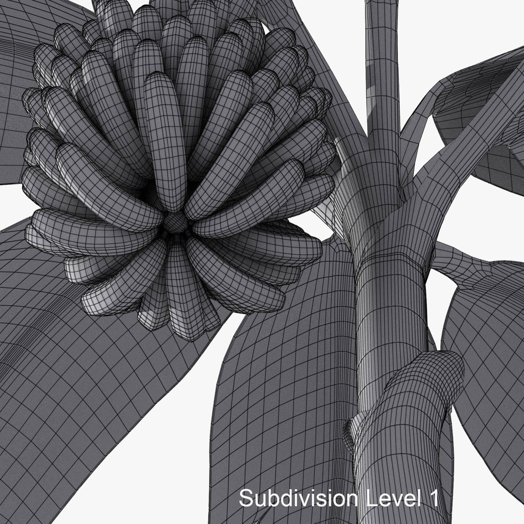 Banana Plant Tree Obj