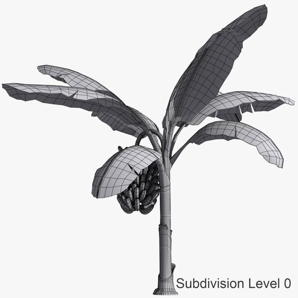 banana plant tree obj