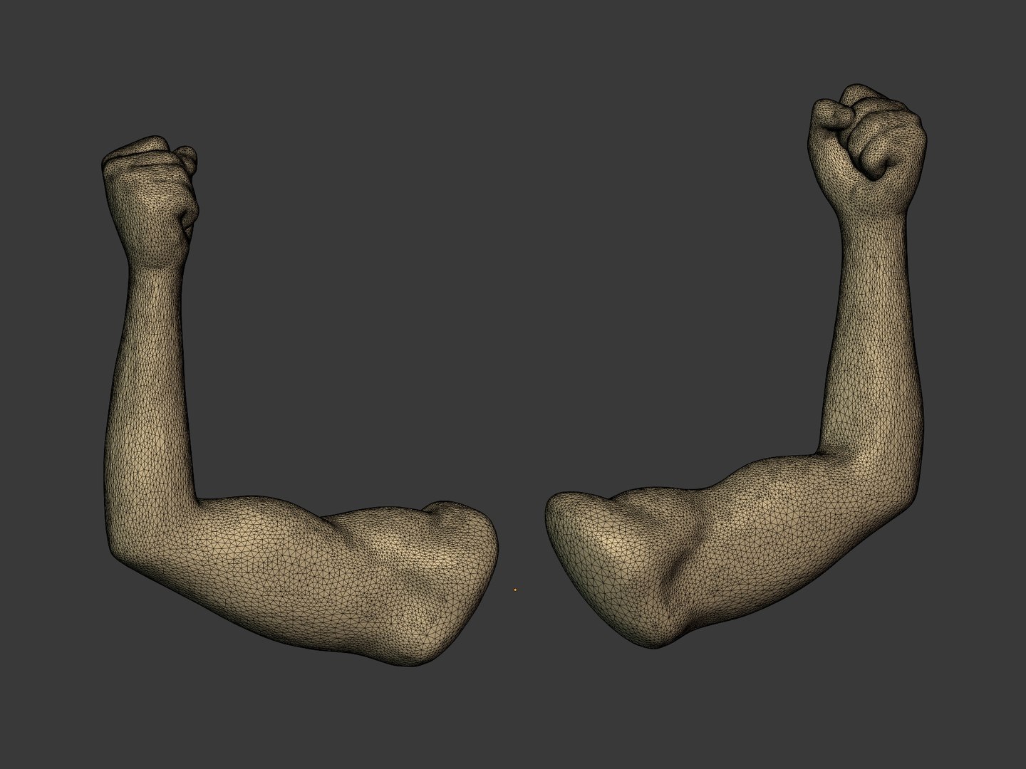 3D Model Muscle Hand Icon - TurboSquid 1806626