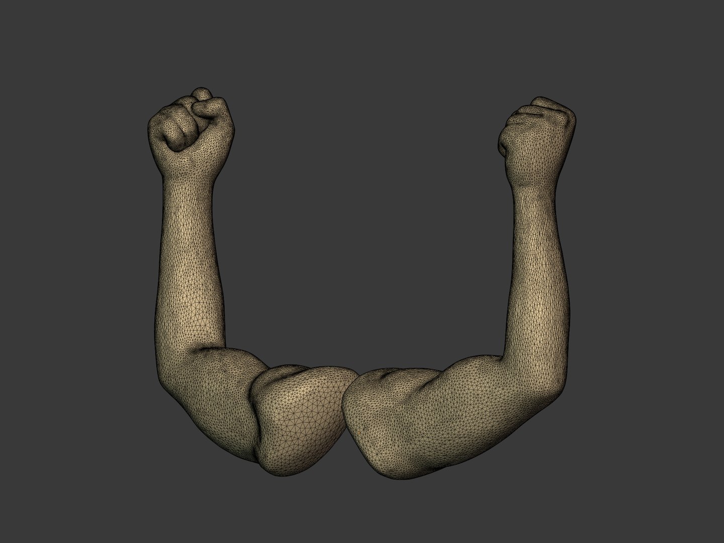 3D Model Muscle Hand Icon - TurboSquid 1806626