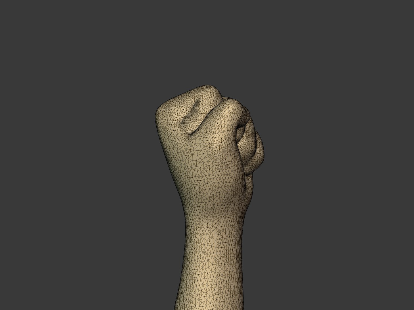 3D Model Muscle Hand Icon - TurboSquid 1806626