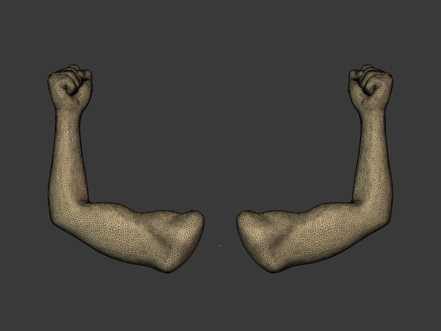 3D Model Muscle Hand Icon - TurboSquid 1806626