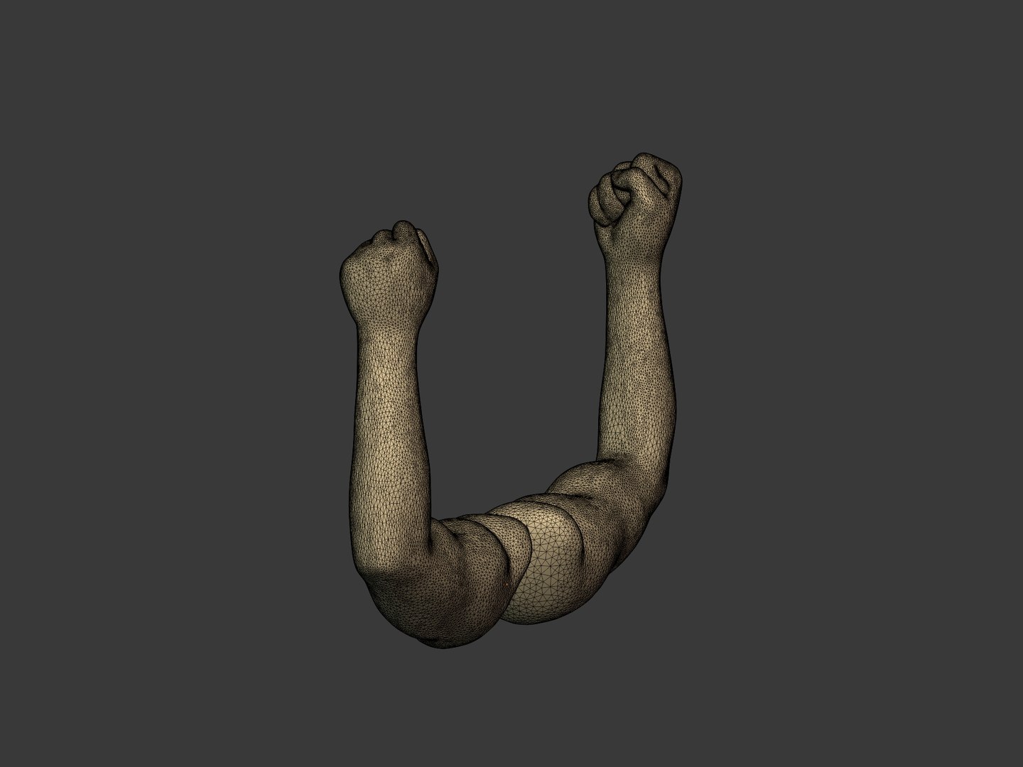 3D Model Muscle Hand Icon - TurboSquid 1806626