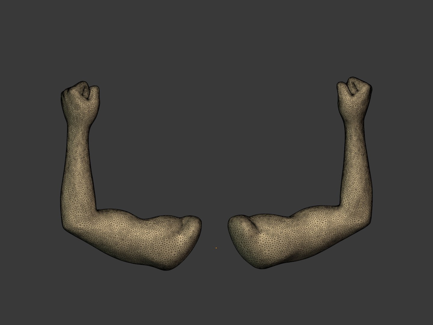 3D Model Muscle Hand Icon - TurboSquid 1806626