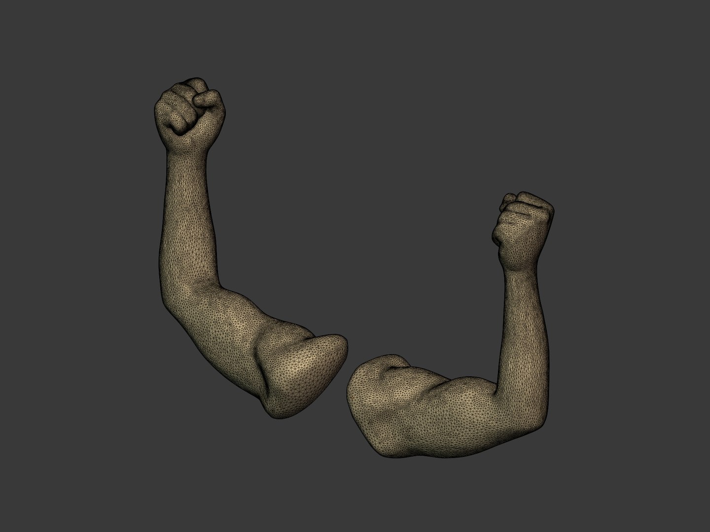 3D Model Muscle Hand Icon - TurboSquid 1806626