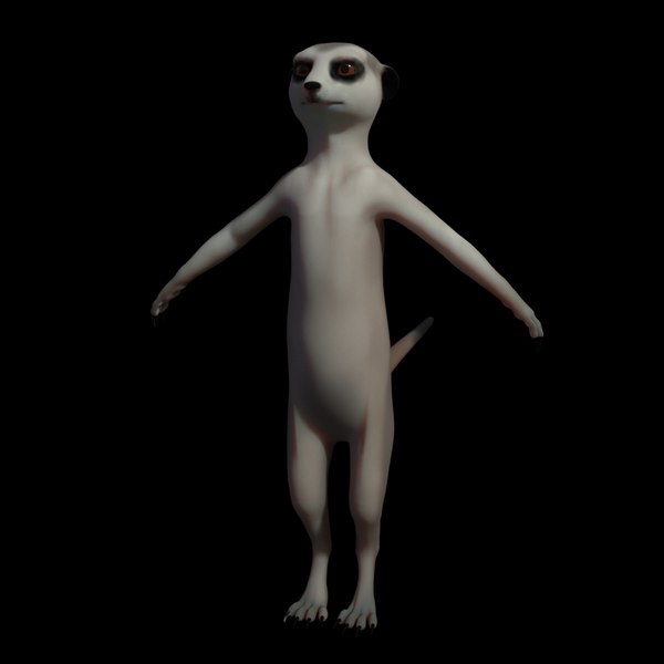 Meerkat 3D Models for Download | TurboSquid