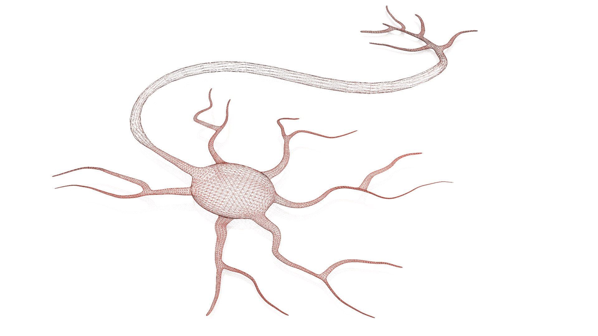 Free 3D Neuron Model - TurboSquid 1659870