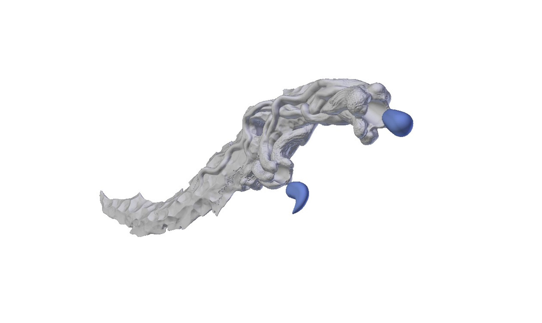 3D Ritual Bone Knife - TurboSquid 1444079