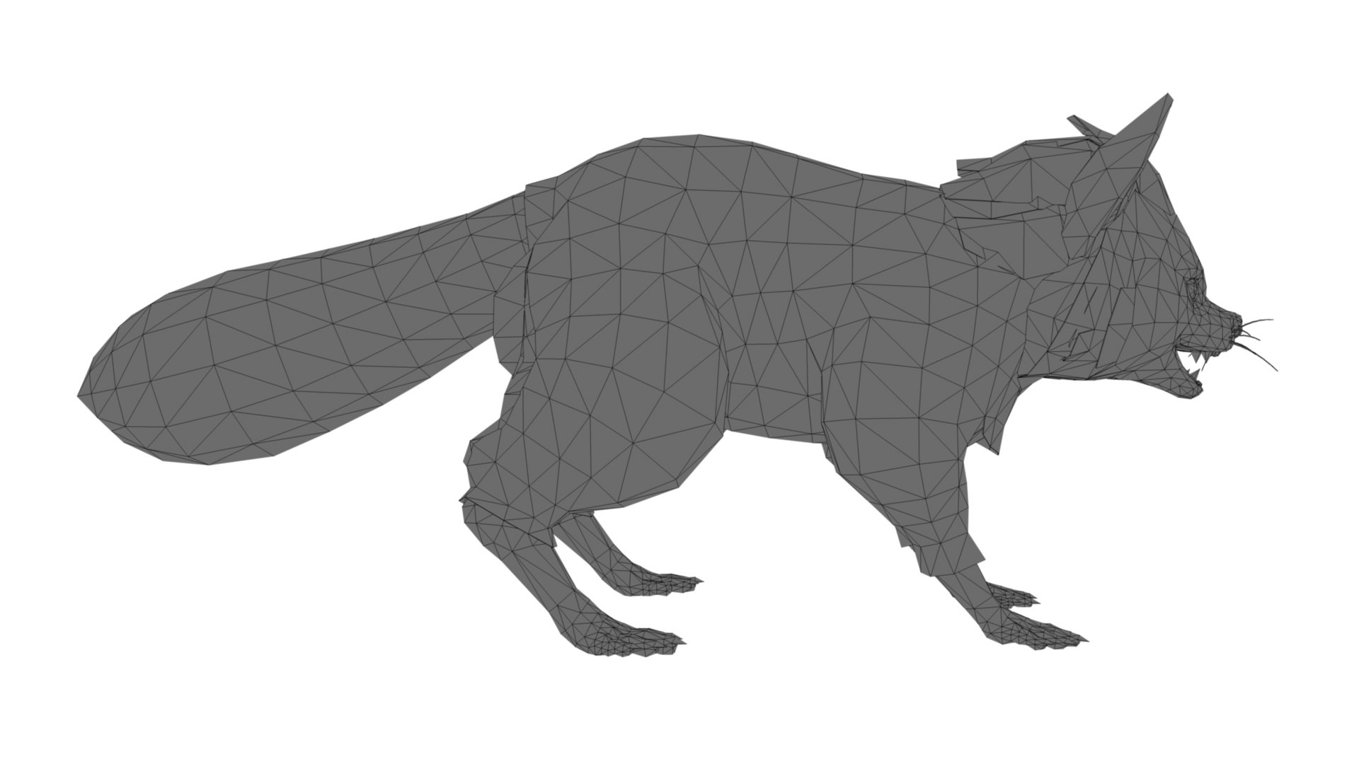 3D Raccoon Model - TurboSquid 2398251