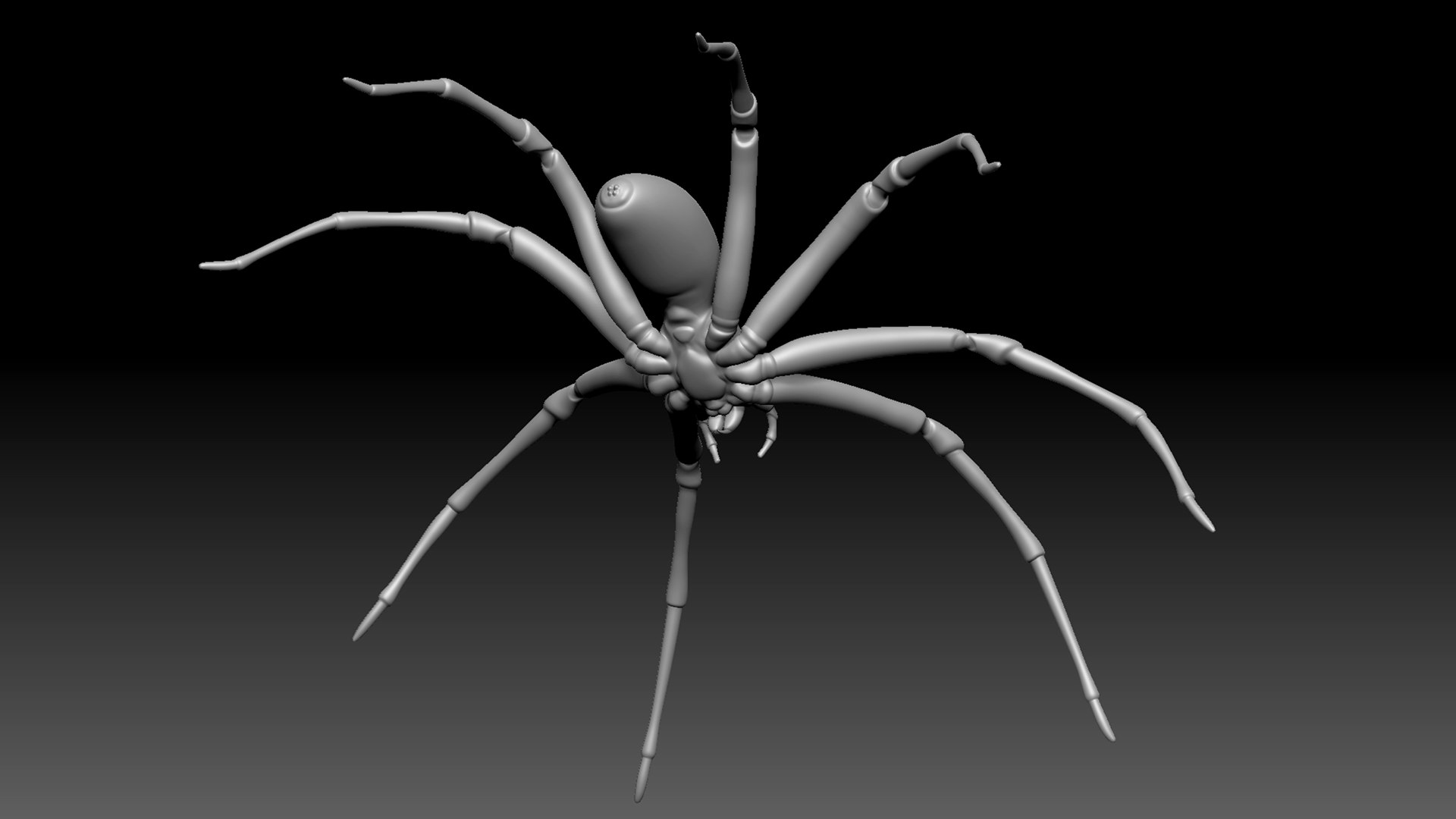 3D Brown Recluse Spider Model - TurboSquid 2151452