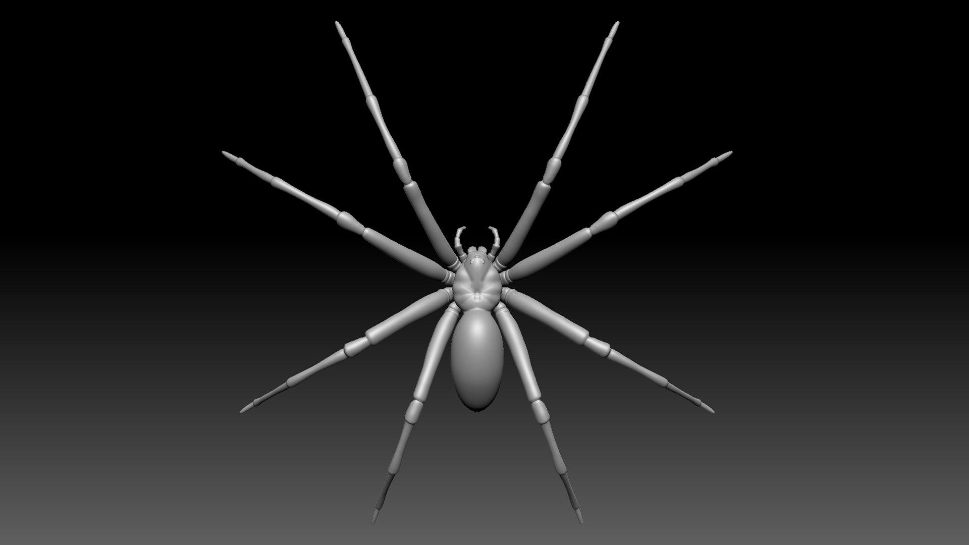3D Brown Recluse Spider Model - TurboSquid 2151452