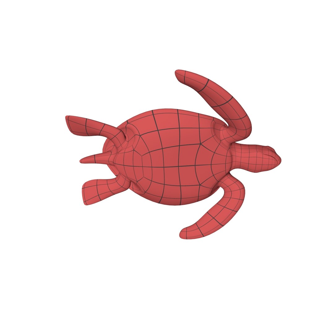 Base Mesh Sea Turtle 3d Model