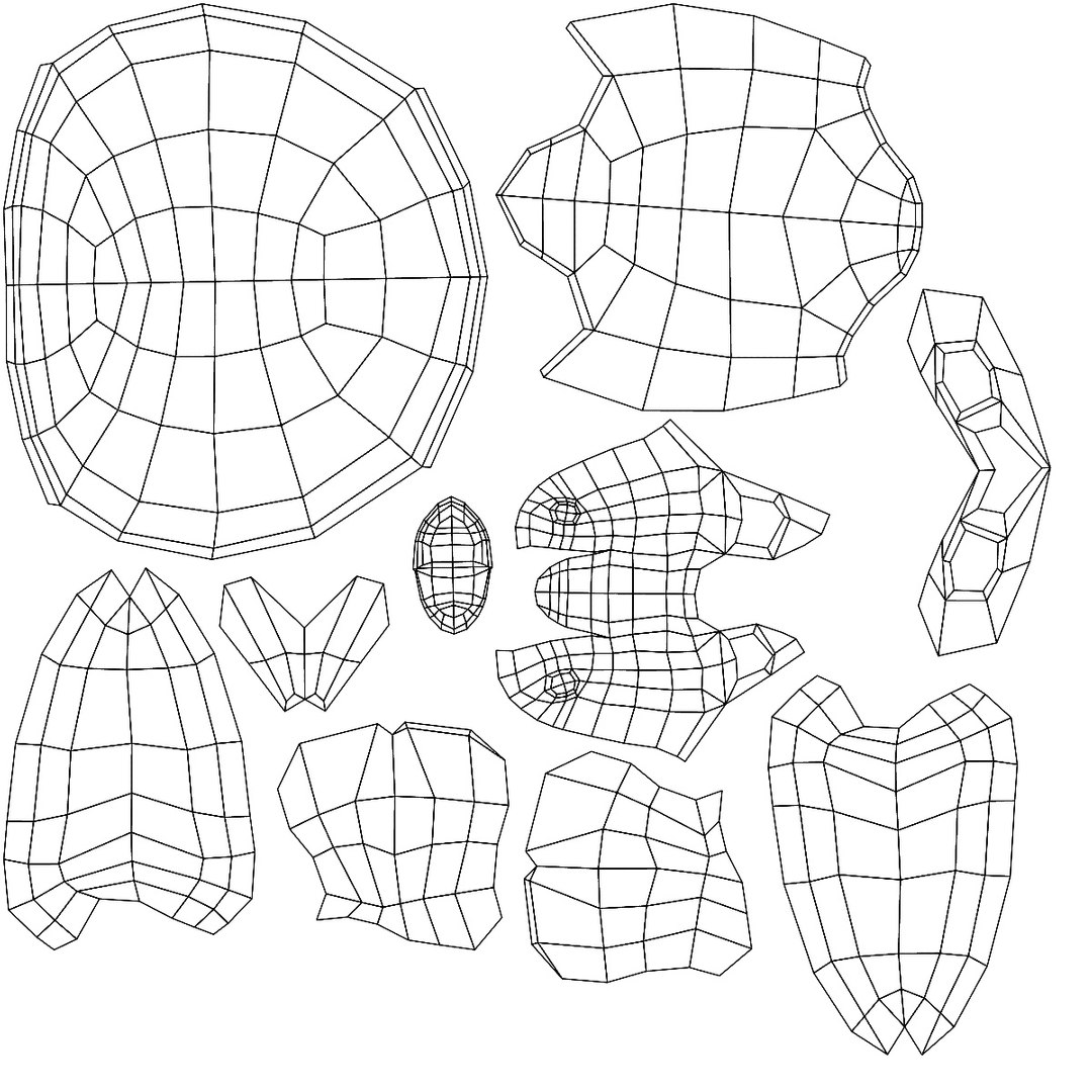Base Mesh Sea Turtle 3d Model