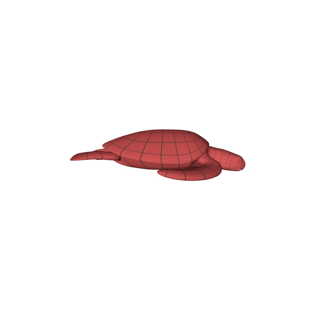 Base Mesh Sea Turtle 3d Model