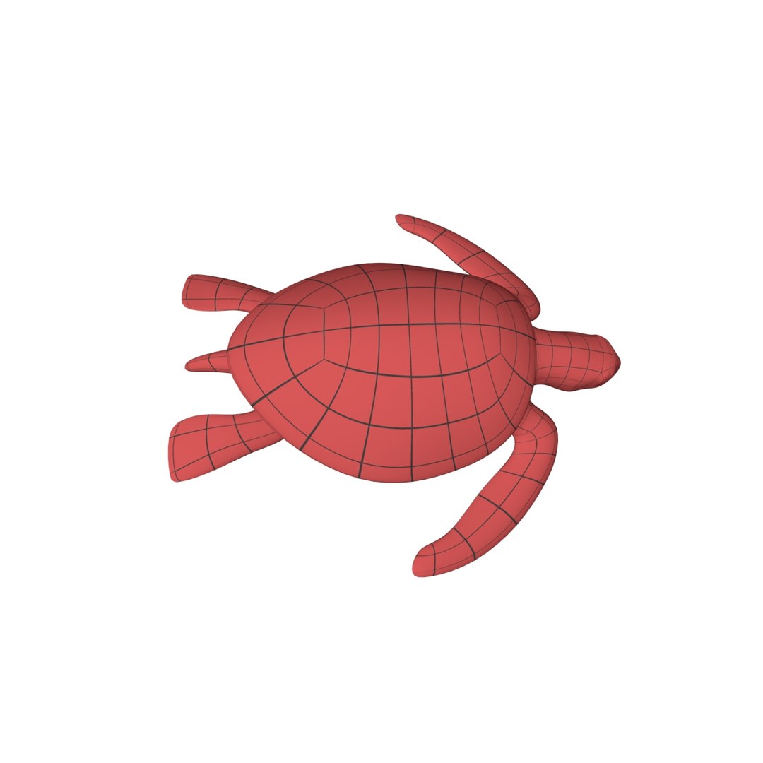 Base Mesh Sea Turtle 3d Model