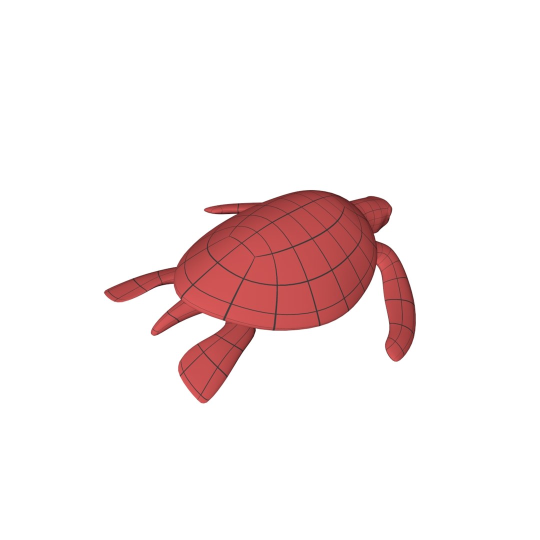 Base Mesh Sea Turtle 3d Model