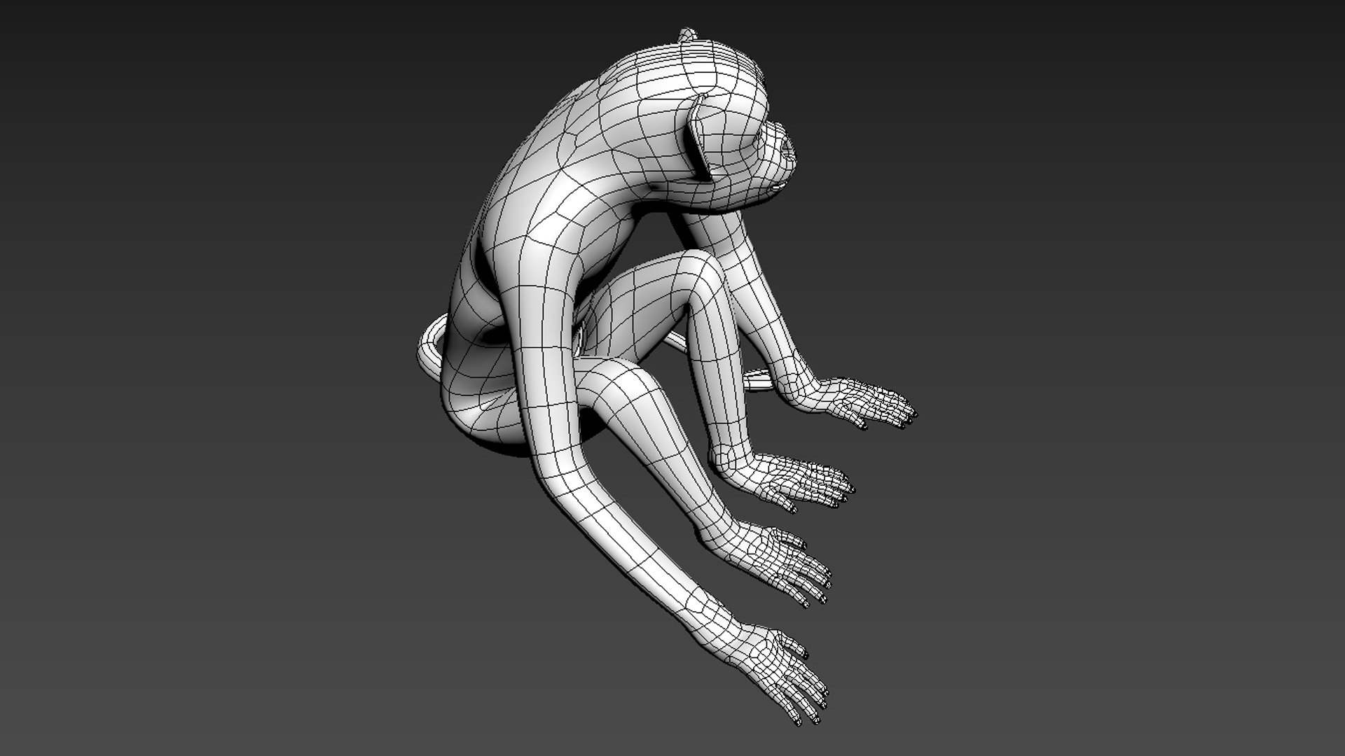 Monkey 3D Model - TurboSquid 1709304