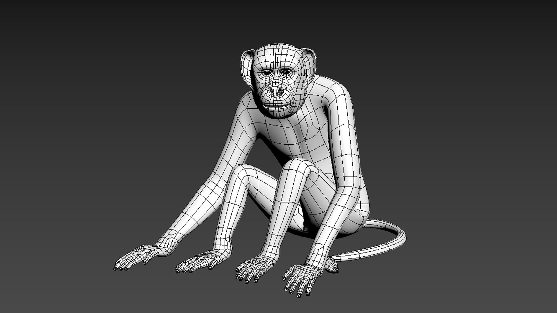 Monkey 3D Model - TurboSquid 1709304
