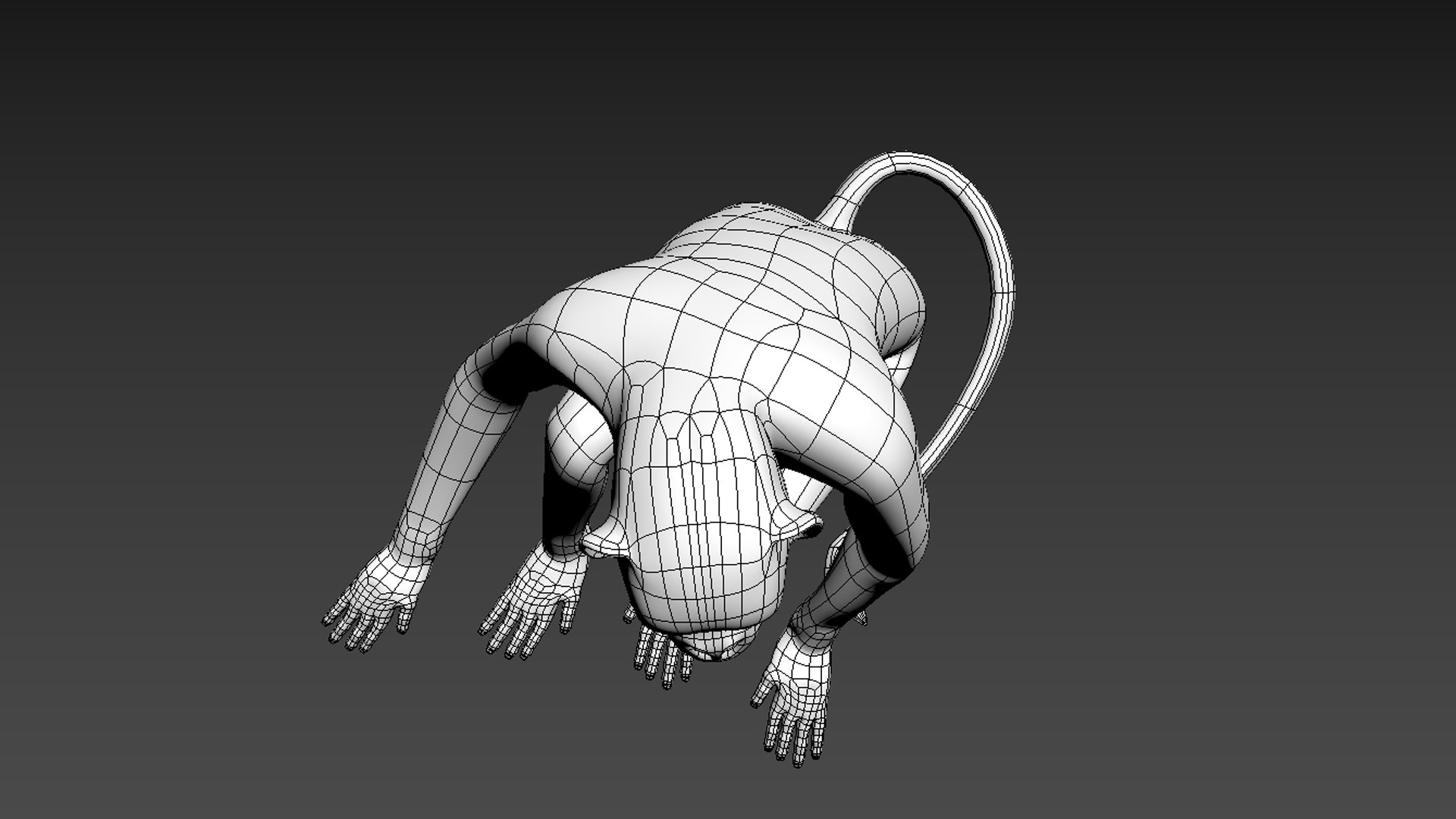 Monkey 3D Model - TurboSquid 1709304