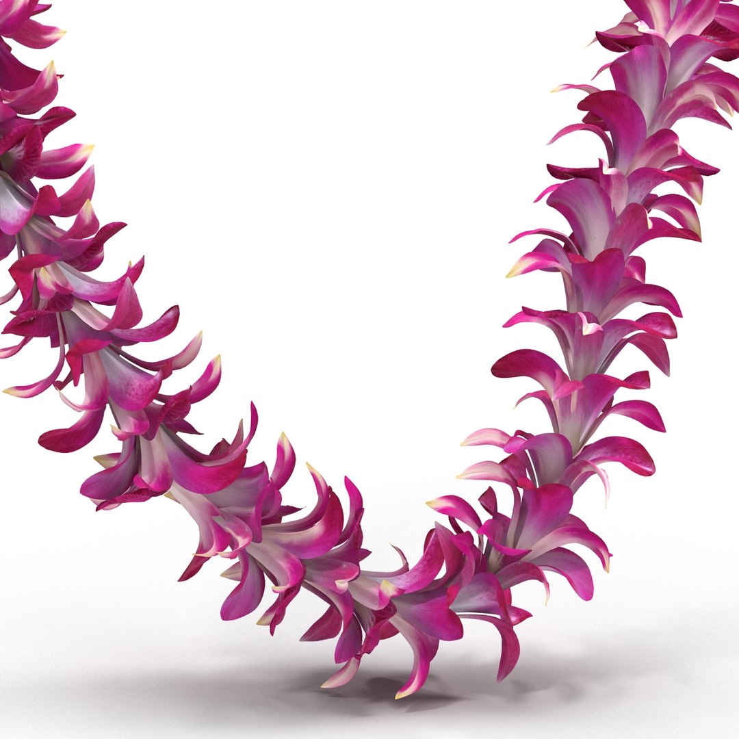 Hawaiian Lei 2 3d Model